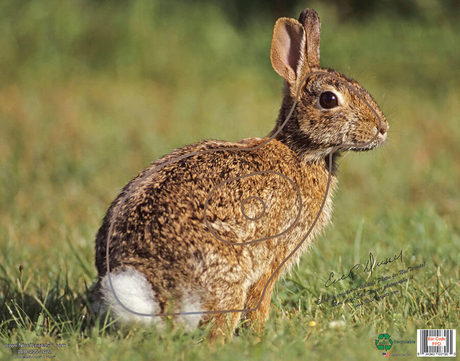 Animal Target Faces – Summit Archery Supply